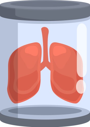 Human appendix organ representing digestive system