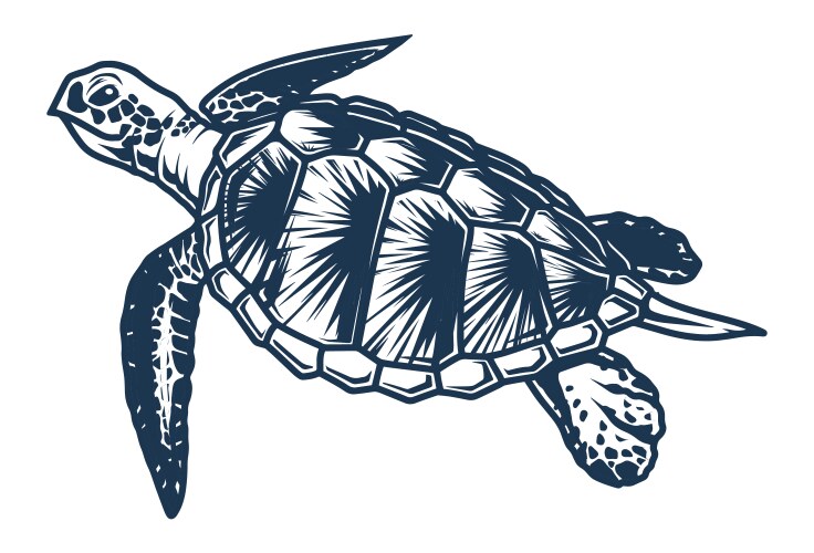 Skeleton of a prehistoric turtle isolated Vector Image