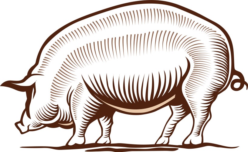 Pork Vector Images (over 73,000)