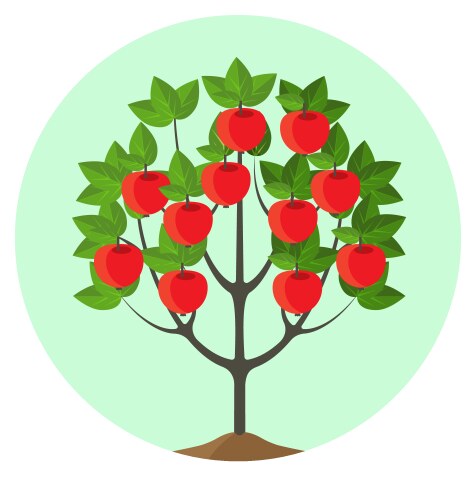 Apple tree with ripe fruits in cartoon style Vector Image