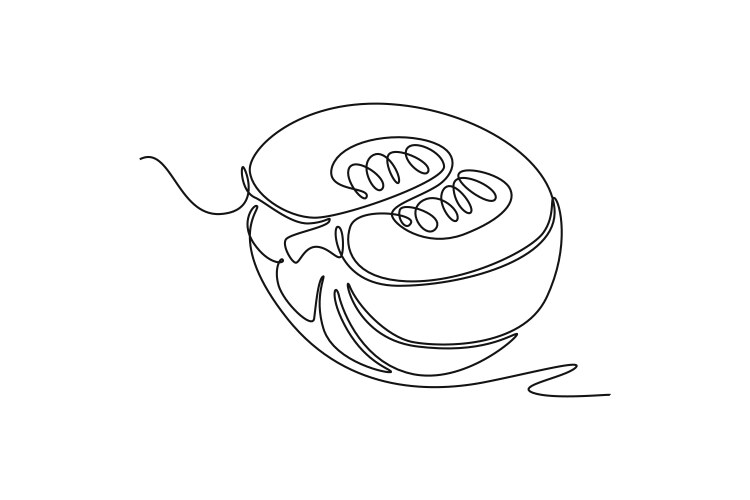 Single continuous line drawing half sliced Vector Image