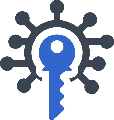 Vpn key icon Royalty Free Vector Image - VectorStock