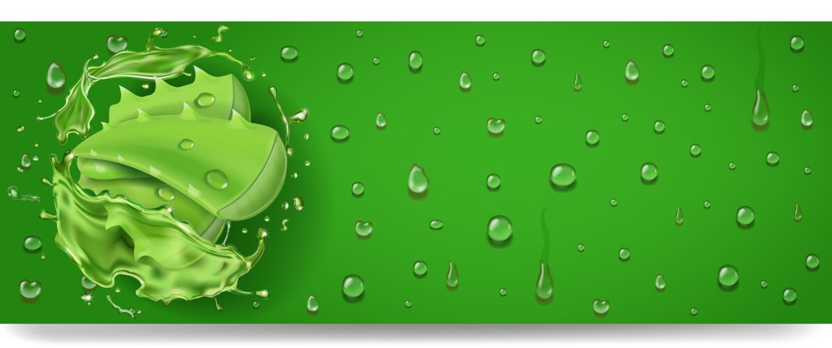 Aloe Vera Vector Images (over 7,400)