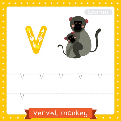 Letter v uppercase tracing practice worksheet Vector Image