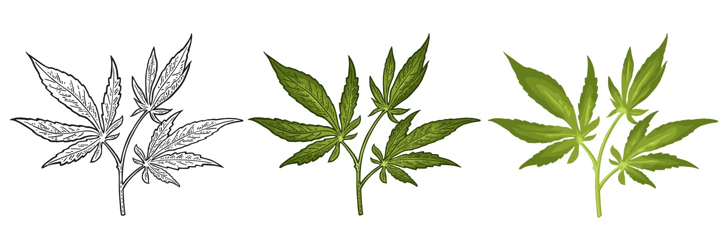 Dope Drawings Vector Images (over 2,500)