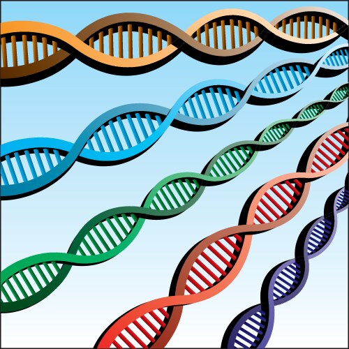 Curved Dna Vector Images (over 5,900)