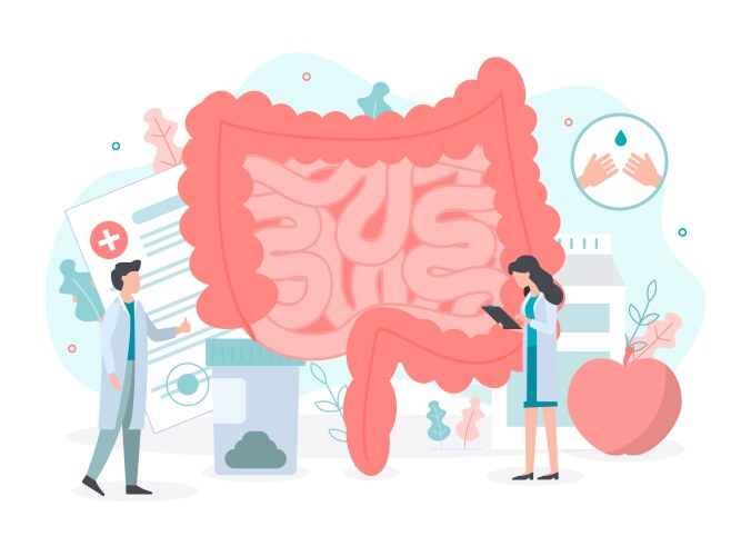 Human intestines gut health bowel disease Vector Image