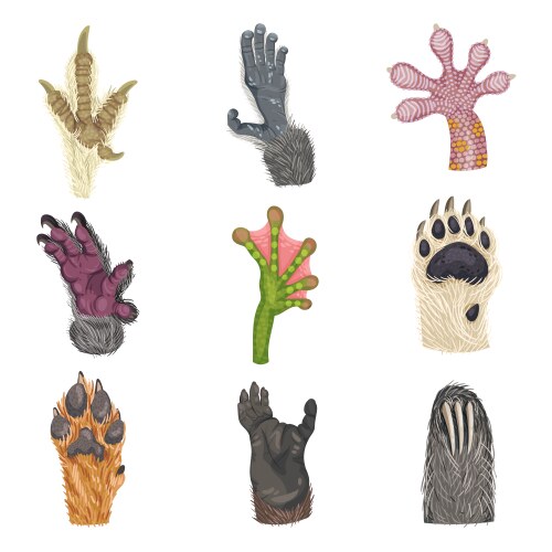 Different cat paws set collection various cute Vector Image