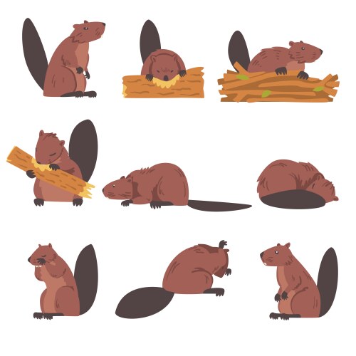Rodent Vector Images (over 42,000)