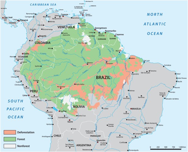 Amazon River Map Vector Images (over 100)