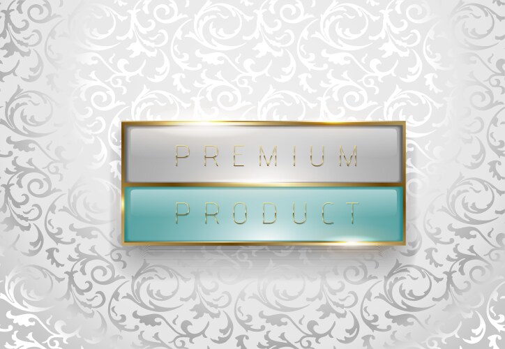 Vip light green glass label with golden frame Vector Image
