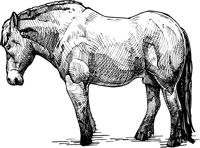 Draught Vector Images (over 4,500)