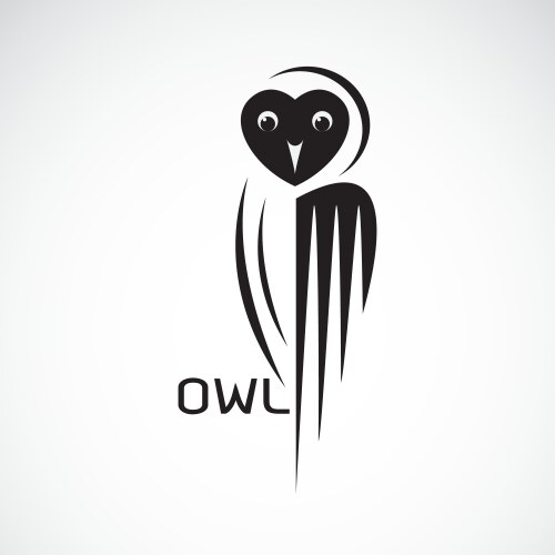 Owl design on a white background wild animals Vector Image