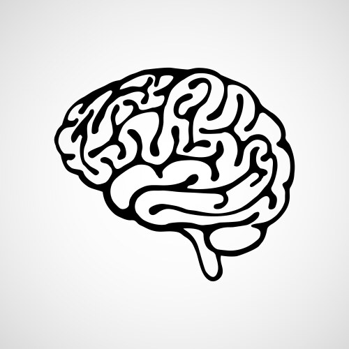 Brain outline Royalty Free Vector Image - VectorStock