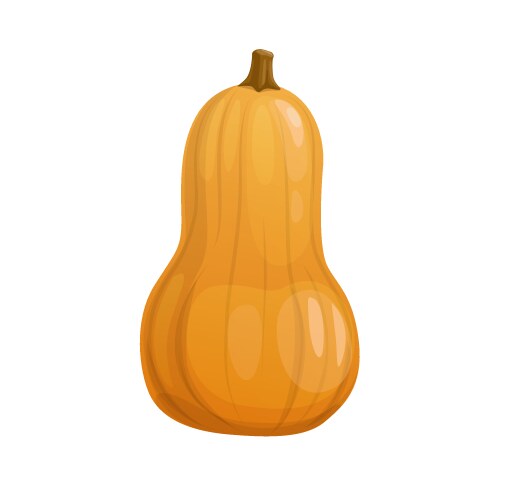 Squash Cartoon Vector Images (over 9,900)