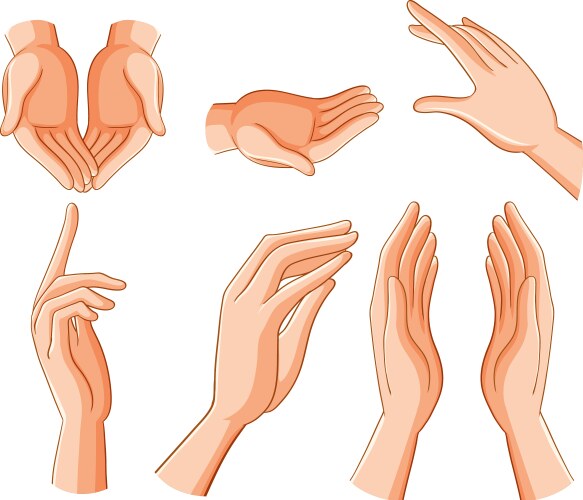 Hands realistic gestures human palms and fingers Vector Image