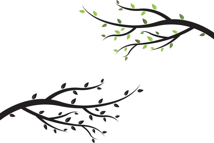 Tree branch logo Royalty Free Vector Image - VectorStock