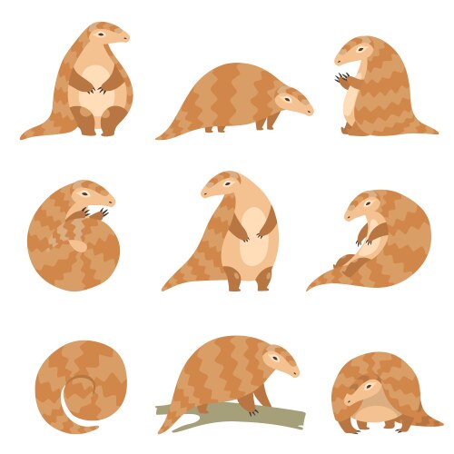 Cute pangolin cartoon Royalty Free Vector Image