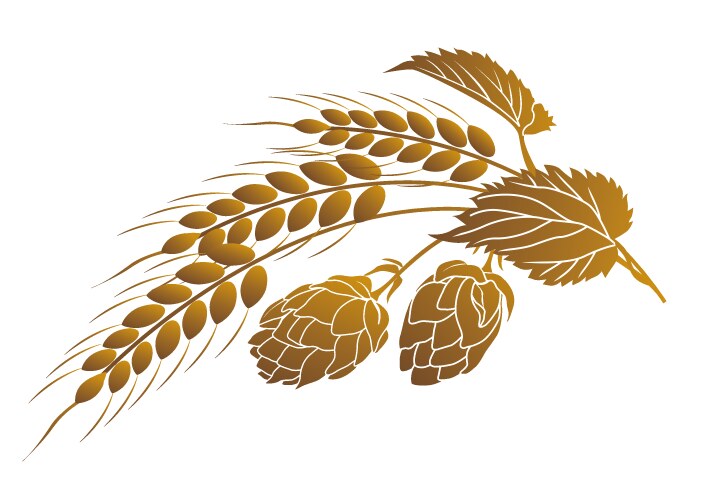 Hops Vector Images (over 52,000)