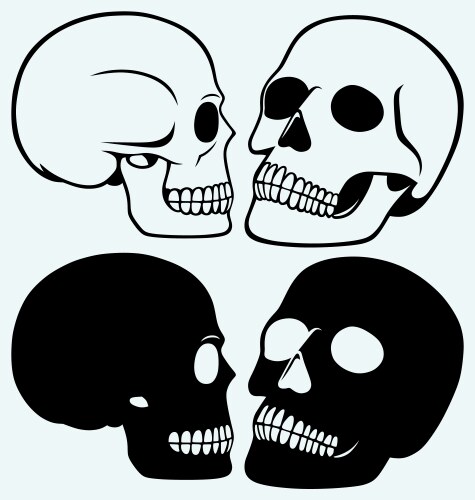 Skull Front Facing Vector Images (over 2,900)
