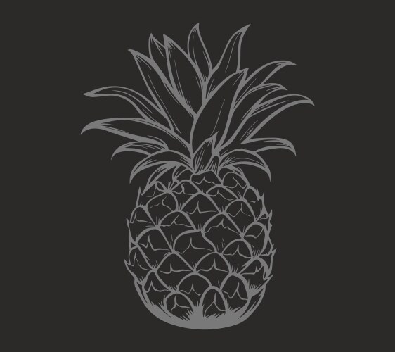 Pineapple Stylized Fruit Vector Images (over 330)
