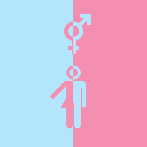 Transgender icon Royalty Free Vector Image - VectorStock