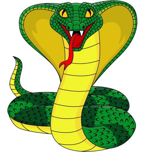 Cobra Vector Images (over 13,000)