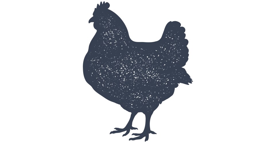 Chicken Vector Images (over 210,000)