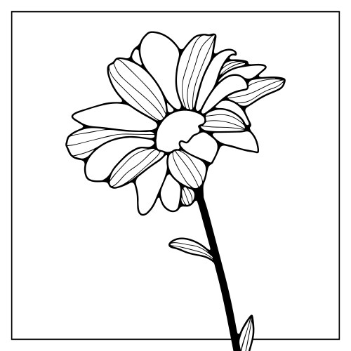 Black and white of a lily flower Royalty Free Vector Image
