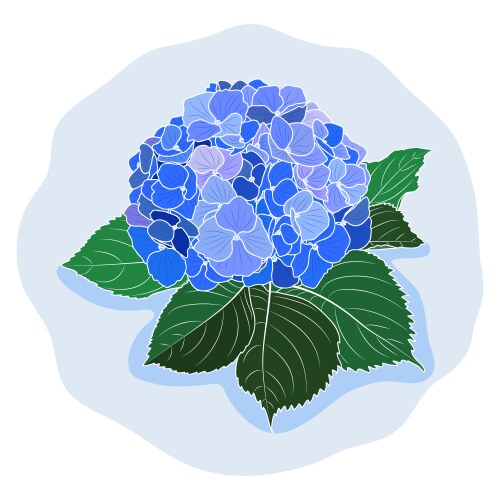 Hydrangea Outline Vector Images (over 2,400)