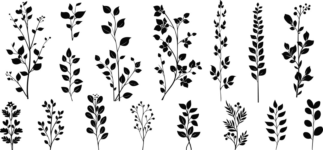 Botanical Vector Images (over 600,000)