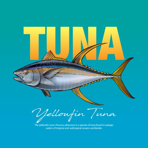 Tuna Vector Images & Graphics for Commercial Use | VectorStock