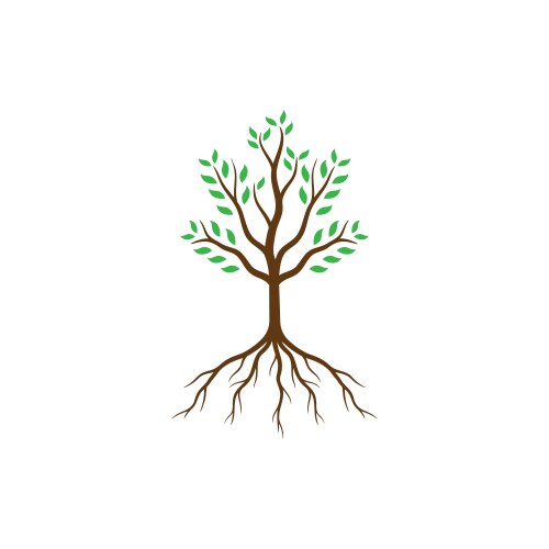 Green tree with leaves and roots outline Vector Image