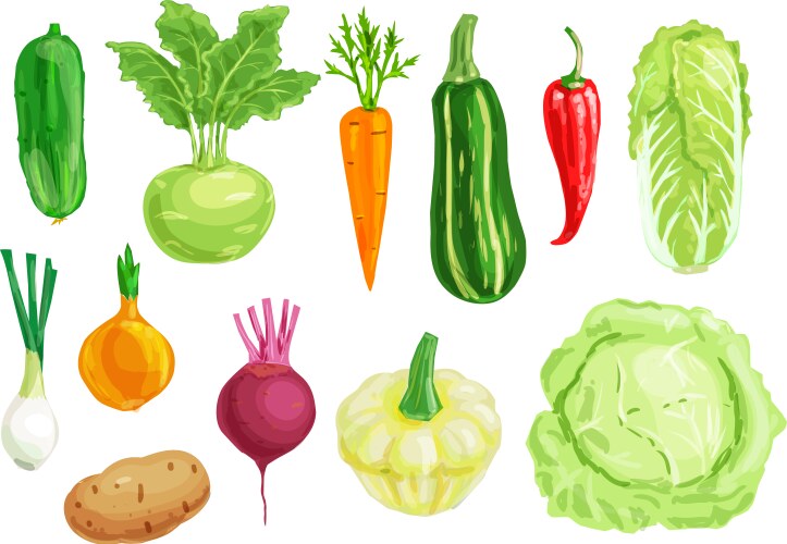 Vegetable mix Royalty Free Vector Image - VectorStock
