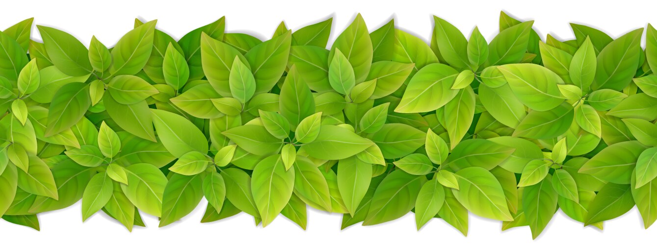 Green Border Vector Images (over 150,000)