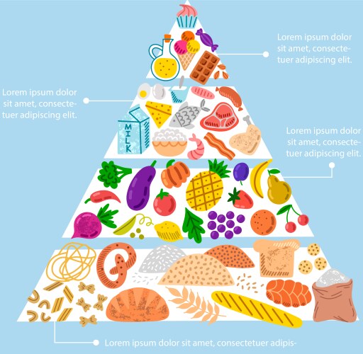 Organised food pyramid Royalty Free Vector Image