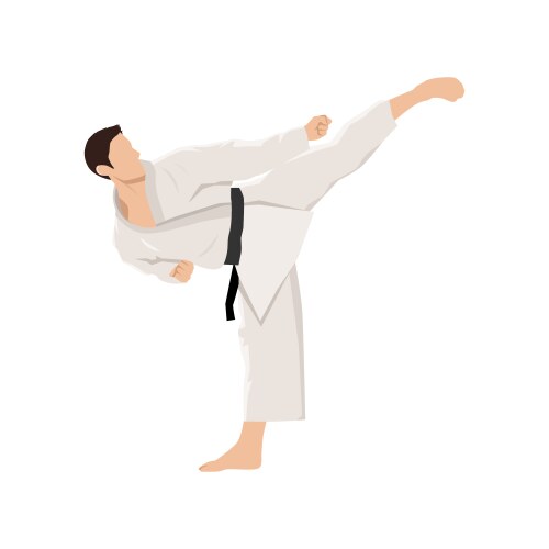 Karate Kick Vector Images (over 6,500)