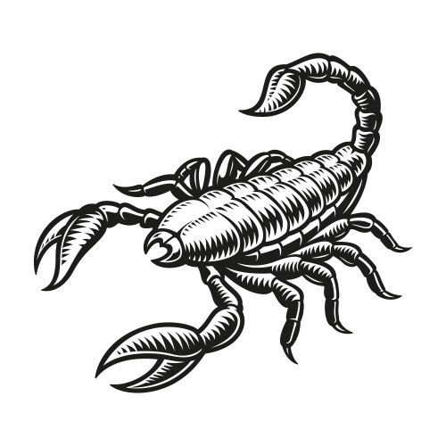 Scorpio Logo Vector Images (over 2,100)