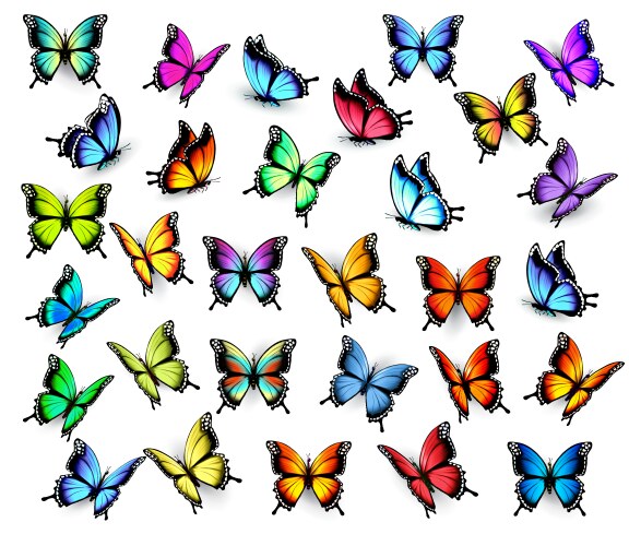 Butterflies Flying Vector Images (over 60,000)