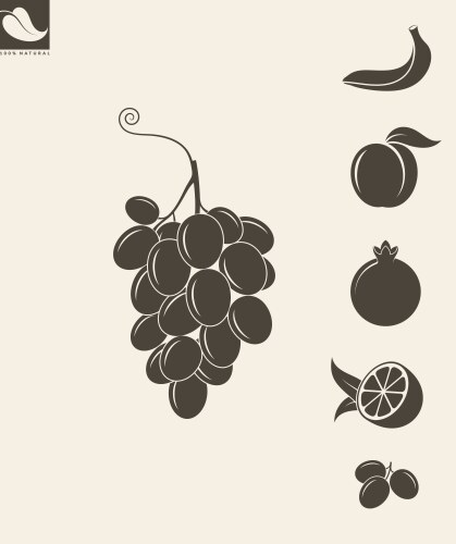 Fruit Vector Images (over 800,000)