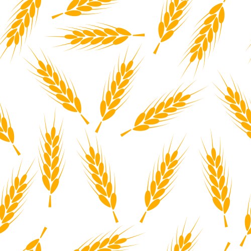 Seamless pattern with wheat agricultural image Vector Image