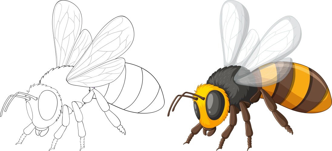 Bee Outline Vector Images (over 21,000)