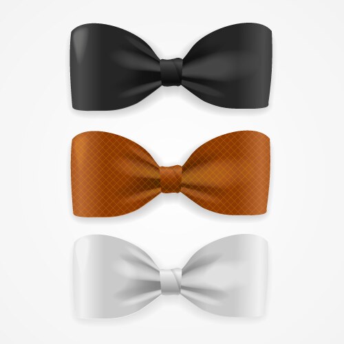 Bow tie Royalty Free Vector Image - VectorStock