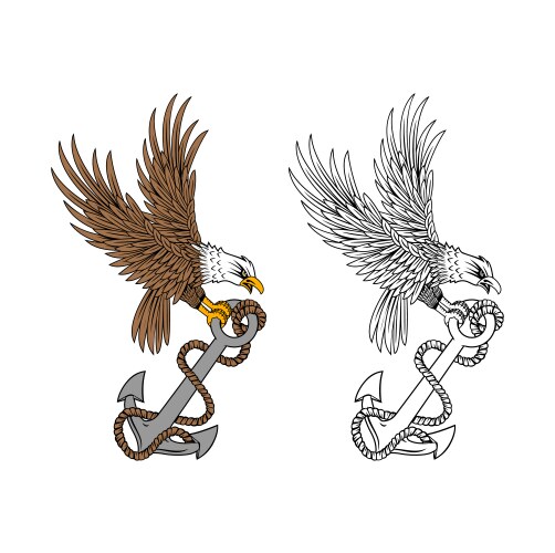 United state marine corps eagle ega design eps Vector Image
