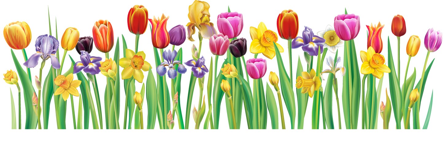 Summer Border Vector Images (over 100,000)