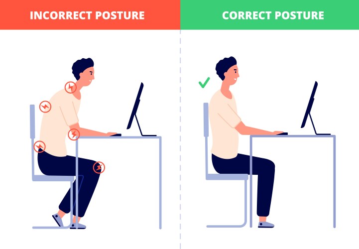 Correct spine posture sitting at computer Vector Image