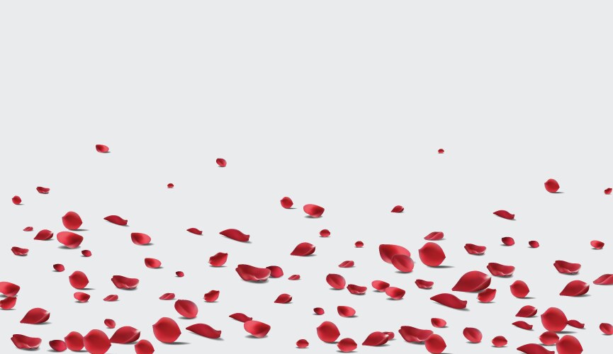Backdrop of rose petals isolated on a transparent Vector Image