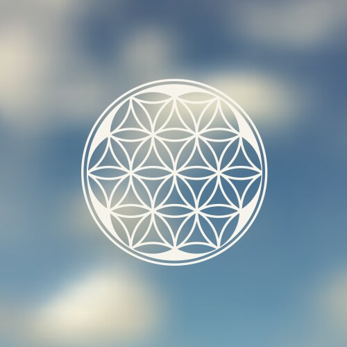 Life seed mandalas designs Royalty Free Vector Image