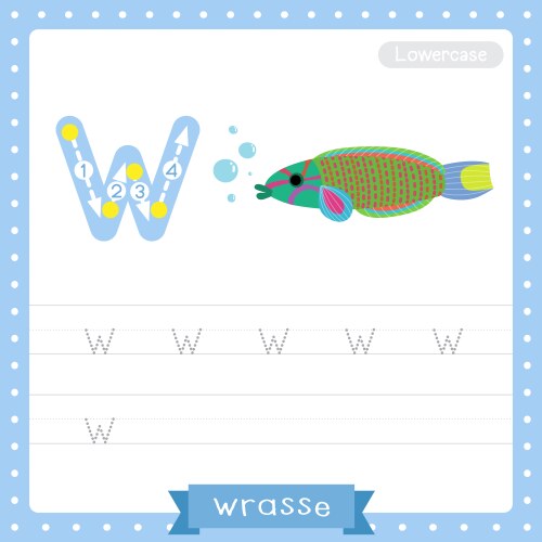 Letter W Flash Card Vector Images (over 140)