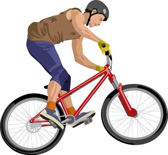 Bicyclist Royalty Free Vector Image - VectorStock